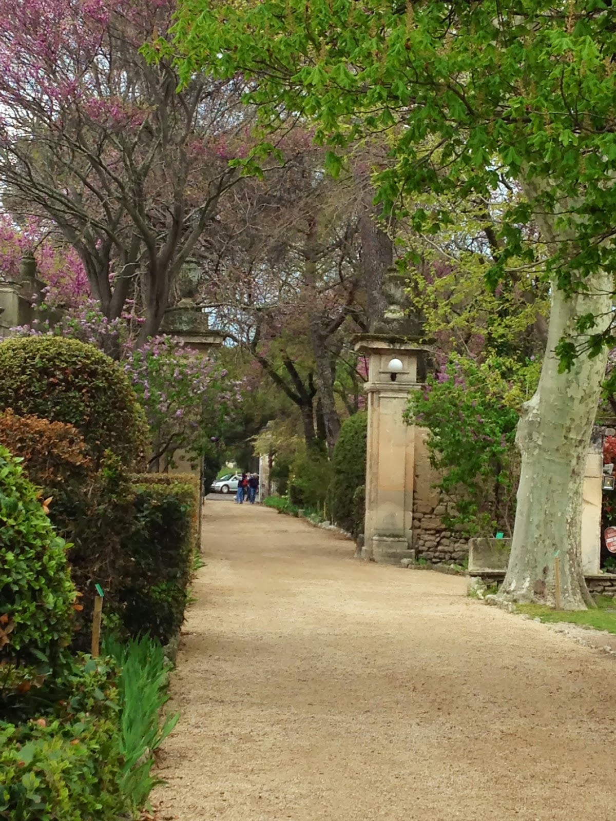 Vincent Van Gogh in Arles, St. Remy and Auvers, 1888-1890 PART II ...